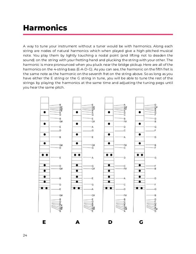 How to Master the Electric Bass-Free Resource.pdf