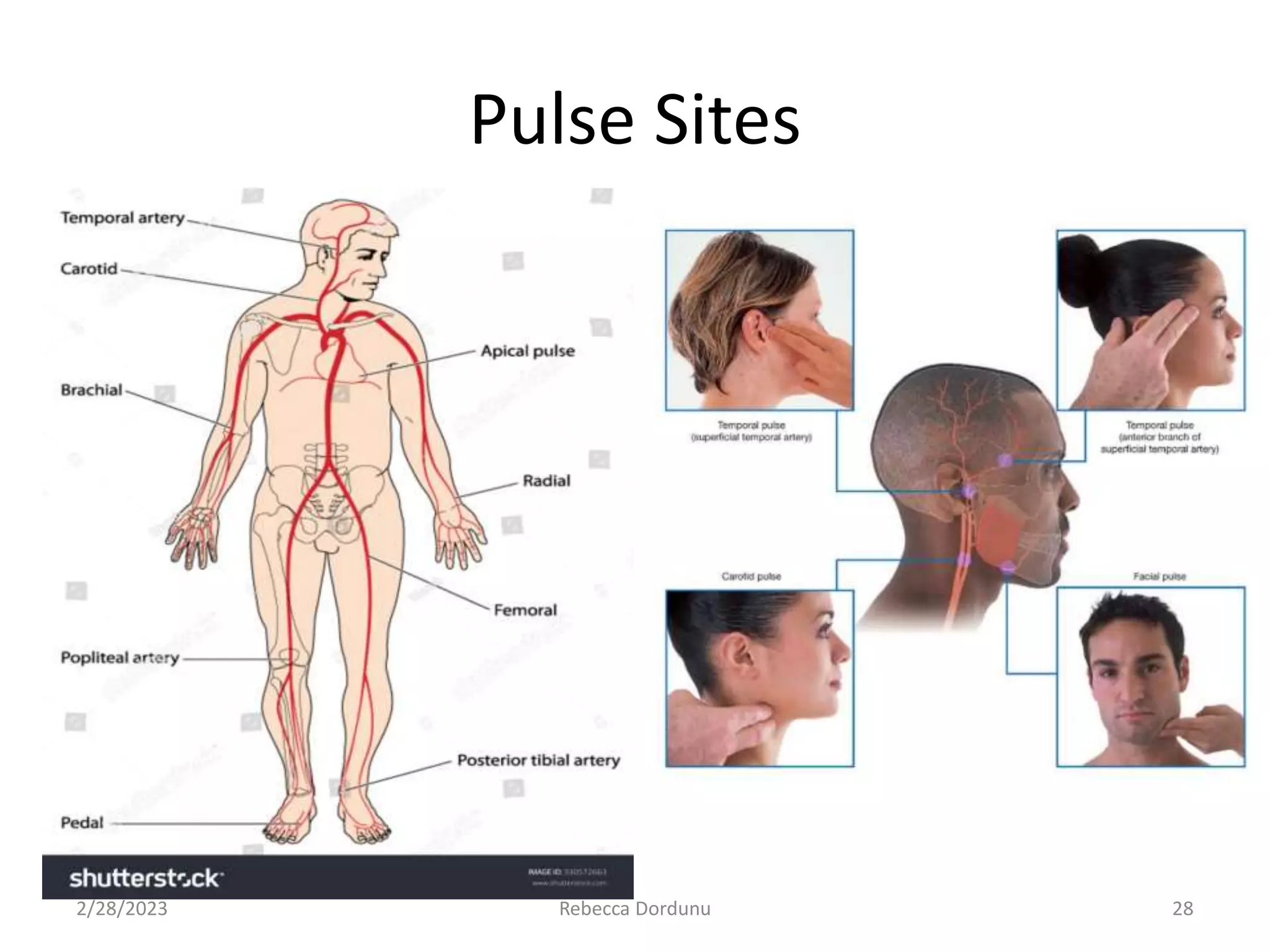 How To Measure Vital Signs.pptx