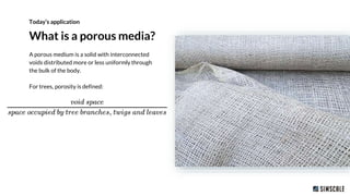 How to Model Trees with Porous Media — Pedestrian Wind Comfort | PPTX