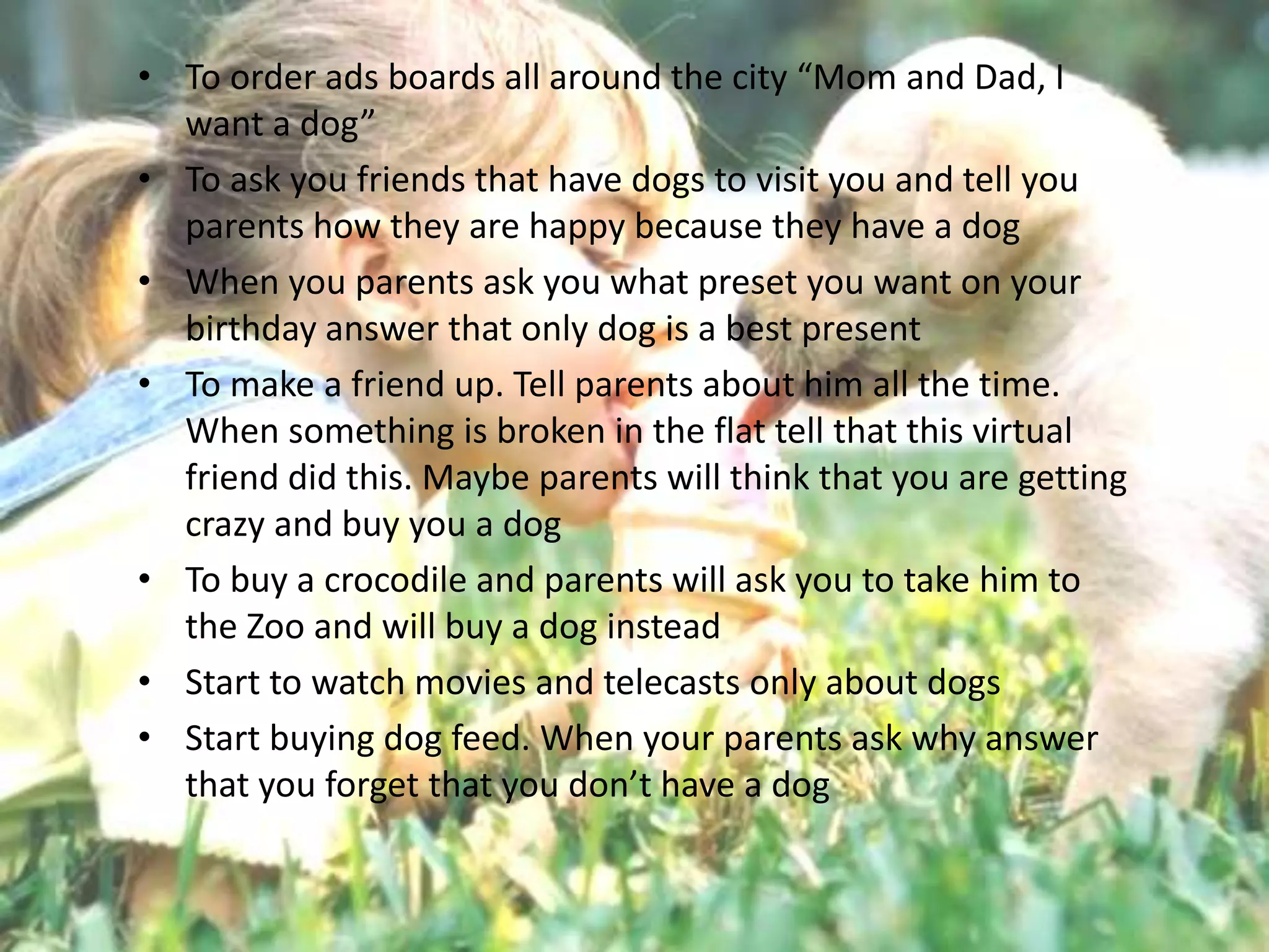 How To Convince Your Parents To Get You A Dog
