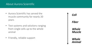 How to plan and execute contractile measurements in permeabilized ...