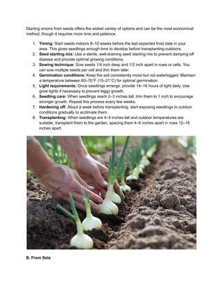 How to plant and Grow Onions 2024- A Complete Guide for Gardeners.pdf