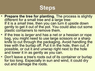 Howtoplantatree | PPT