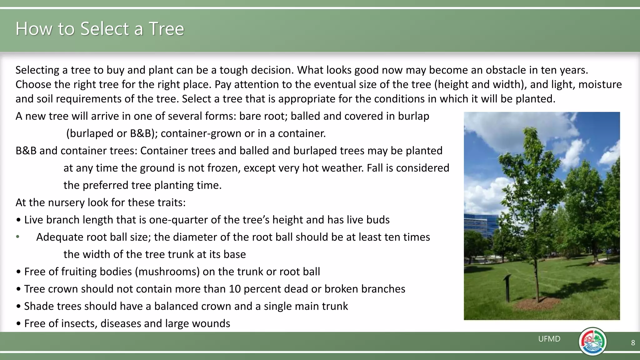 How to Plant a Tree | PPTX