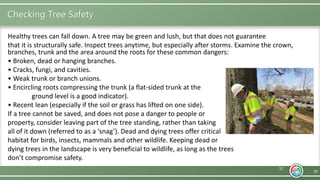 How to Plant a Tree | PPTX