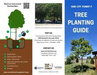 Planting a tree for all beginners brochure | PDF