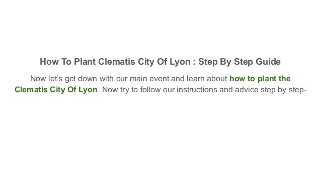 How To Plant Clematis City Of Lyon.pdf