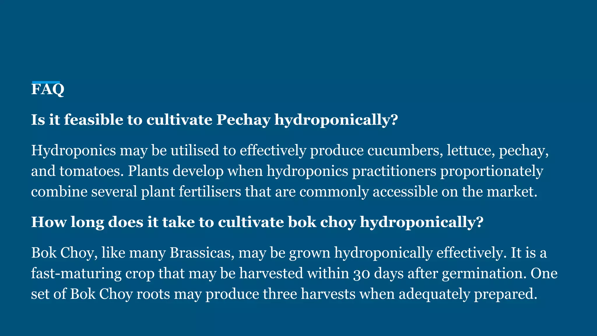 How to Plant Pechay in Hydroponics.pdf