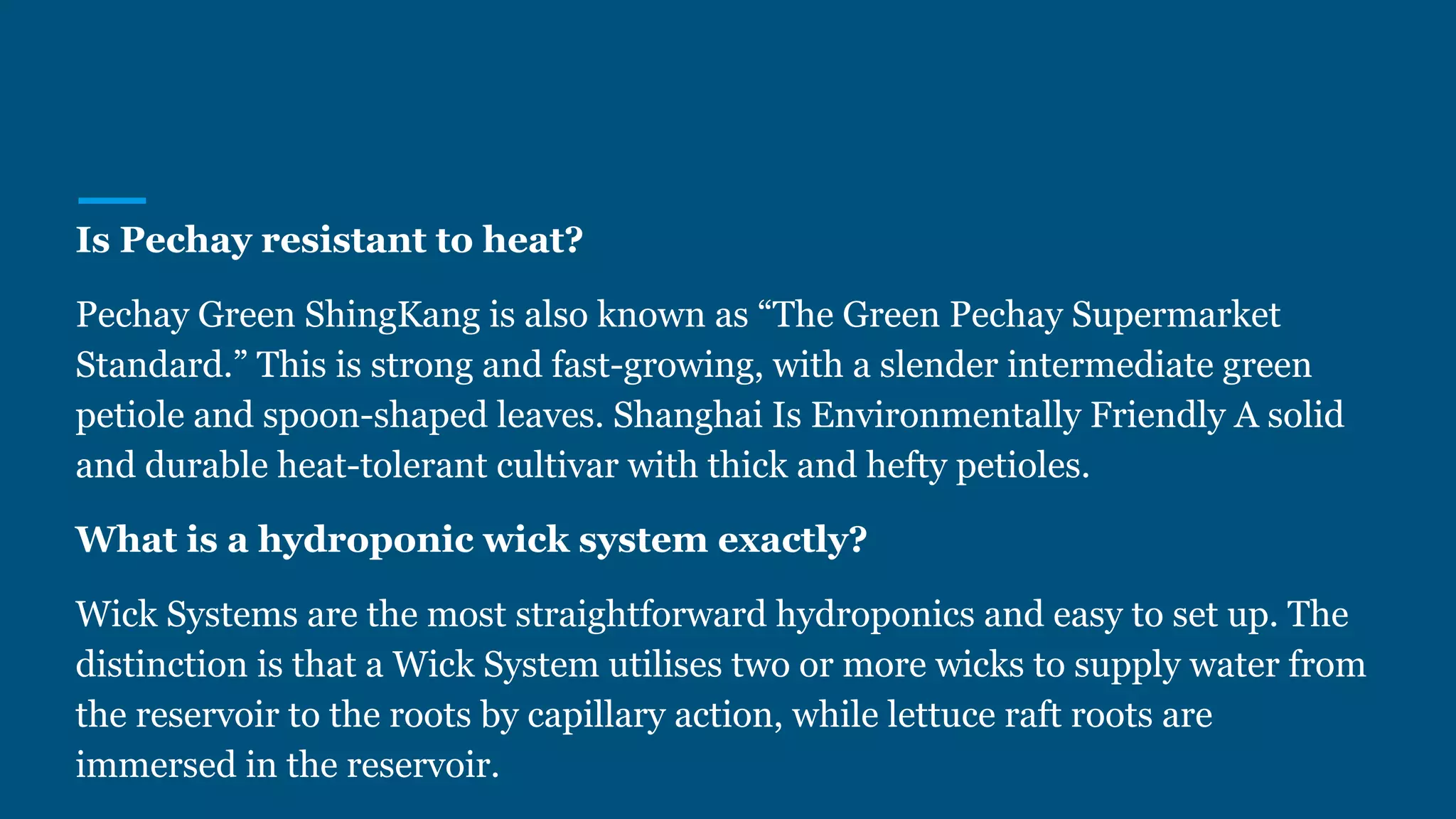 How to Plant Pechay in Hydroponics.pdf