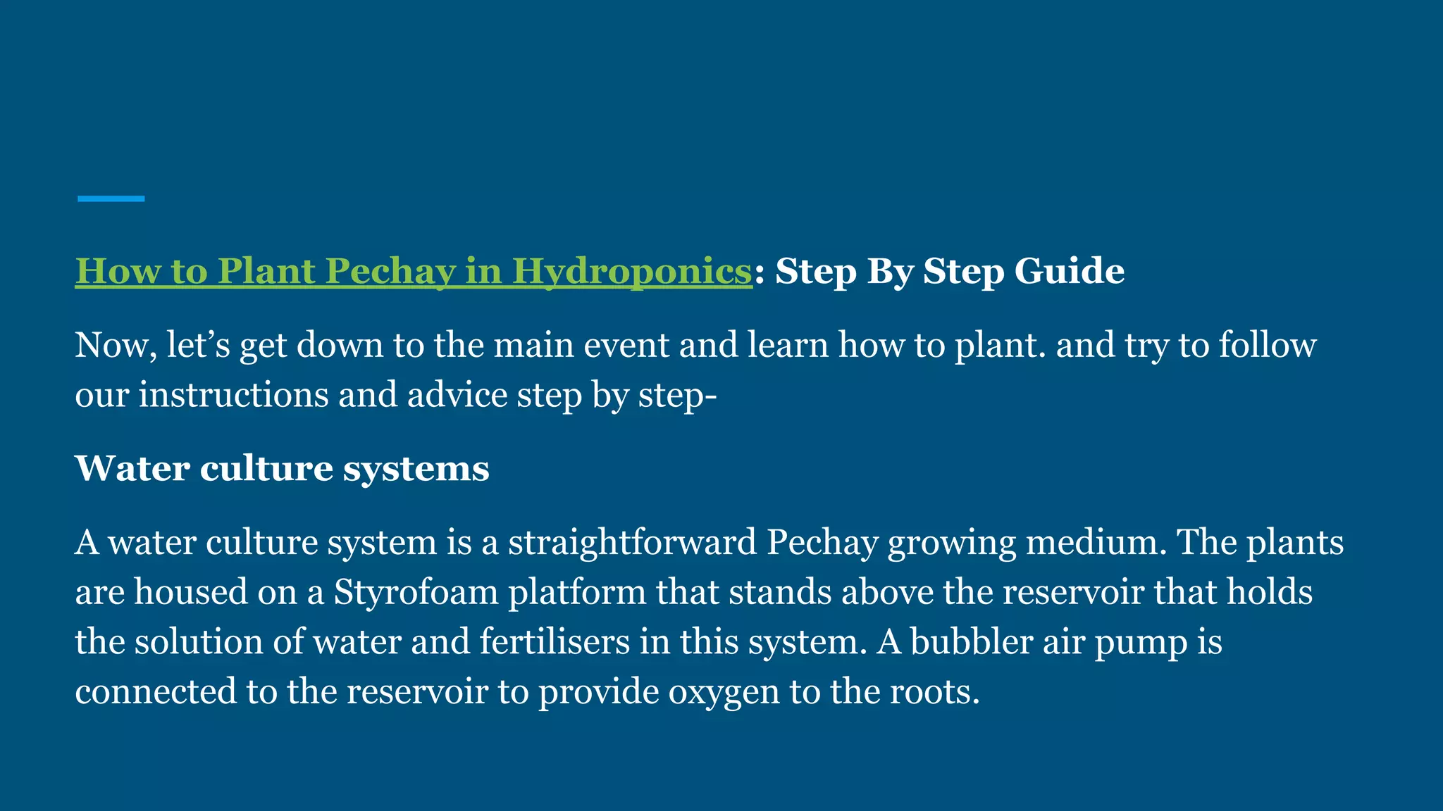 How to Plant Pechay in Hydroponics.pdf