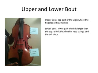How to play the viola | PPTX