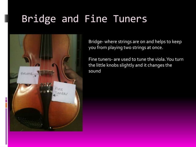 How to play the viola | PPT