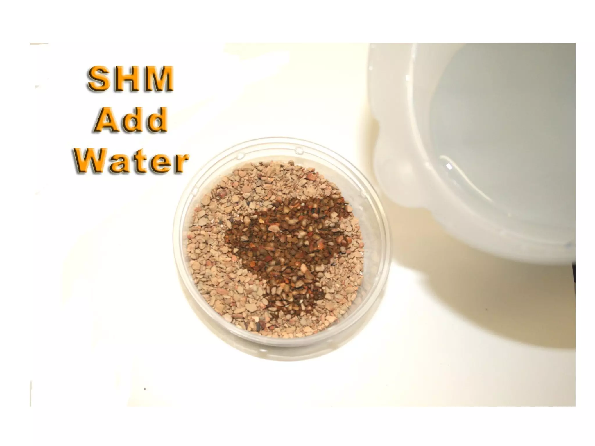 How to Prepare SHM | PPT