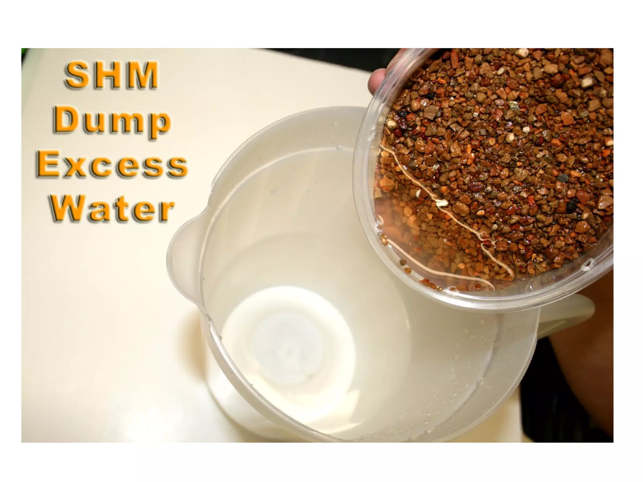 How to Prepare SHM | PPT