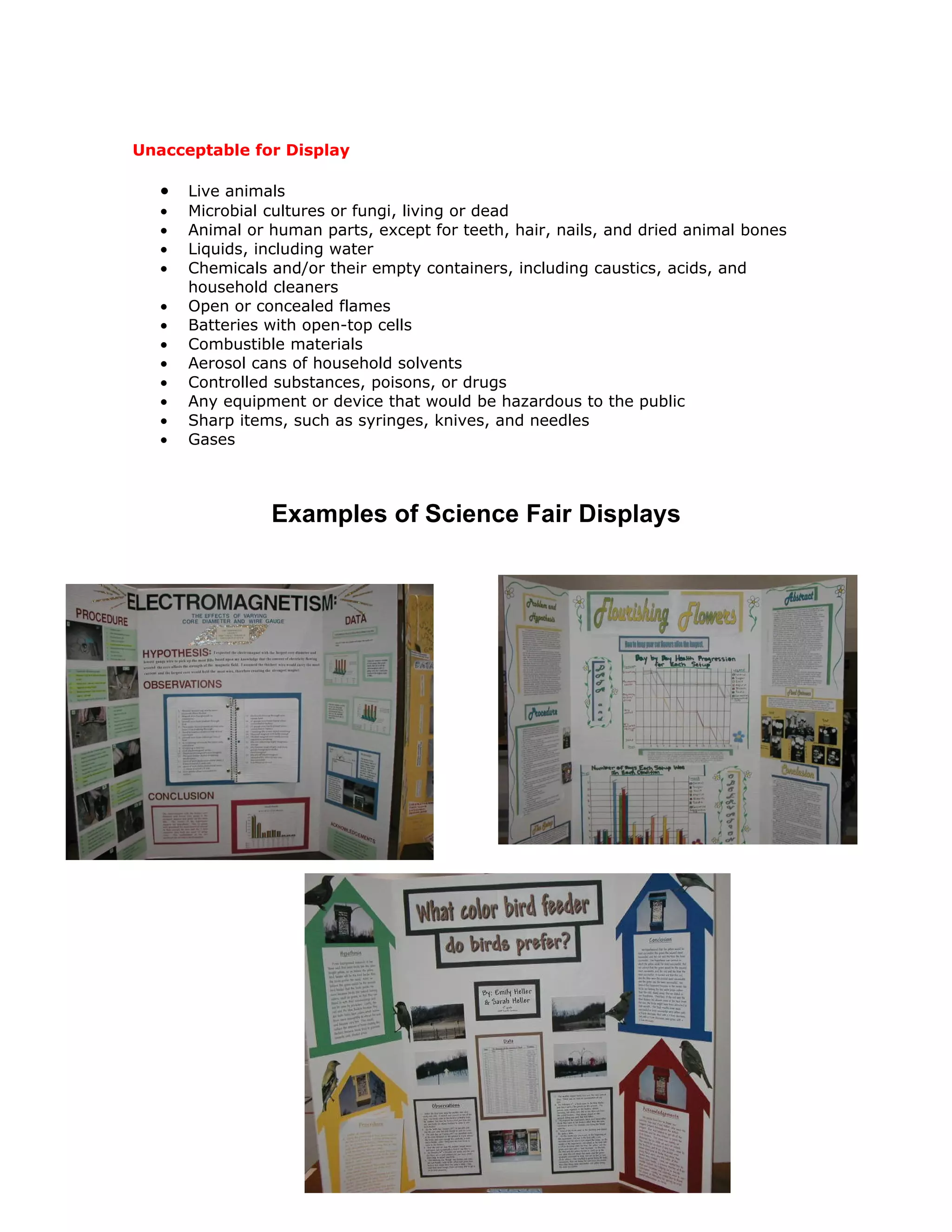 How to produce a good science fair display | DOC