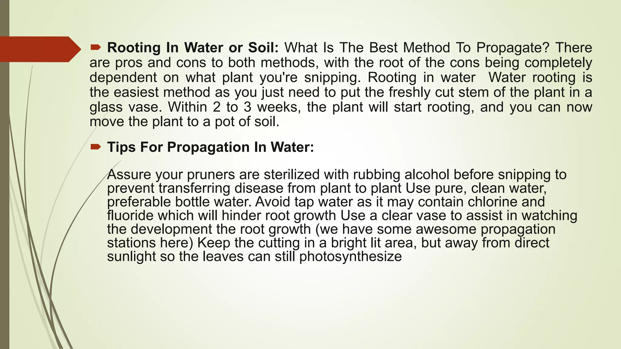 How to Propagate.pptx