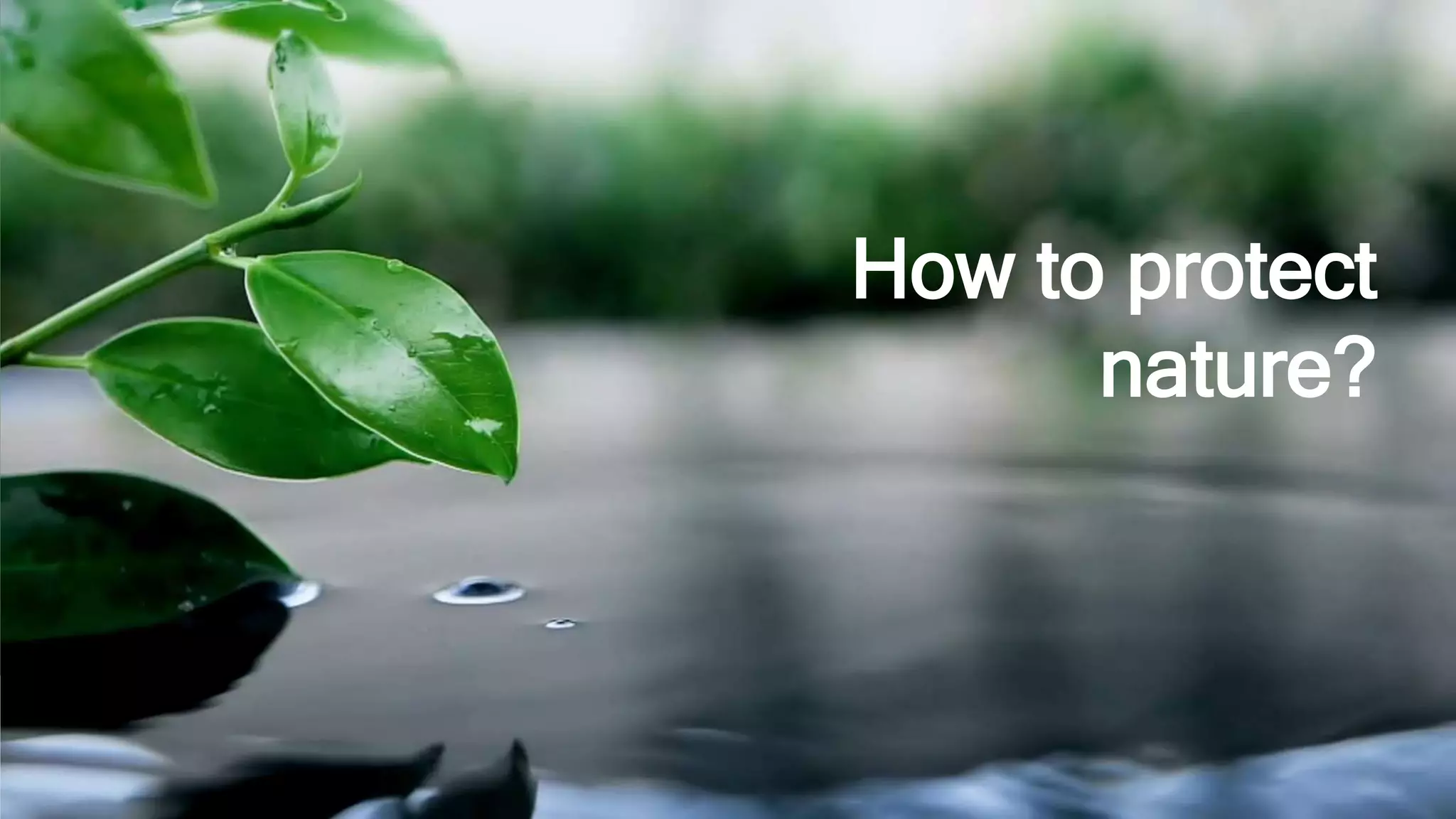 How to protect nature | PPTX