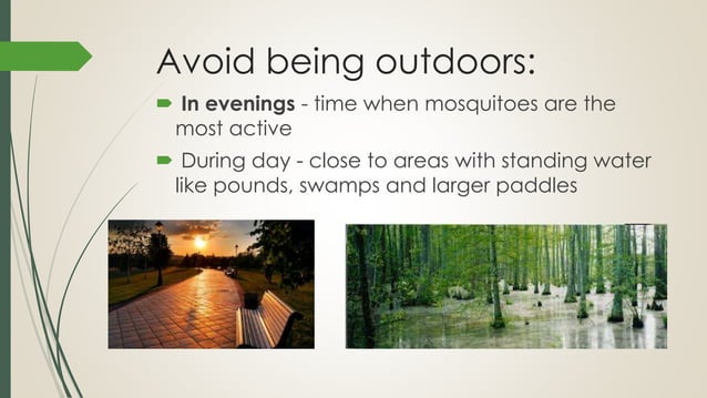 How to protect yourself from mosquitoes | PPT