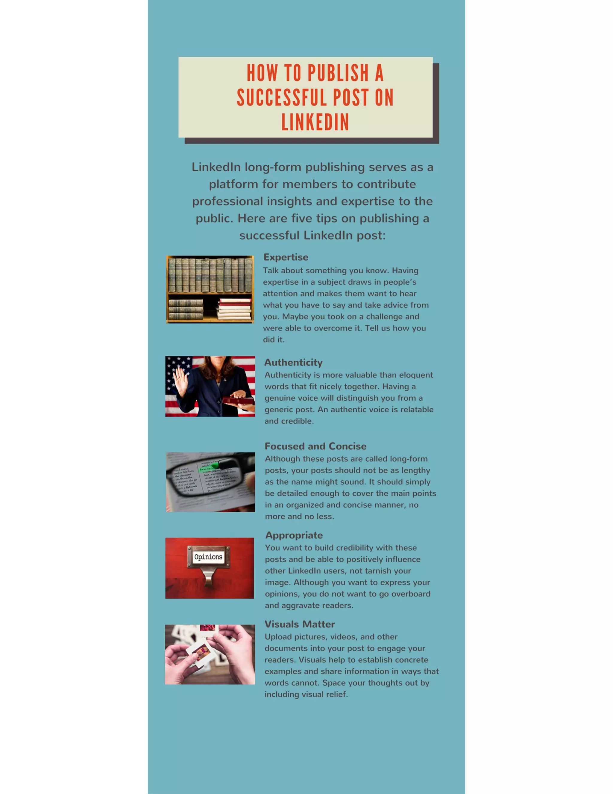 Publishing a Successful Post on LinkedIn Infographic | PDF