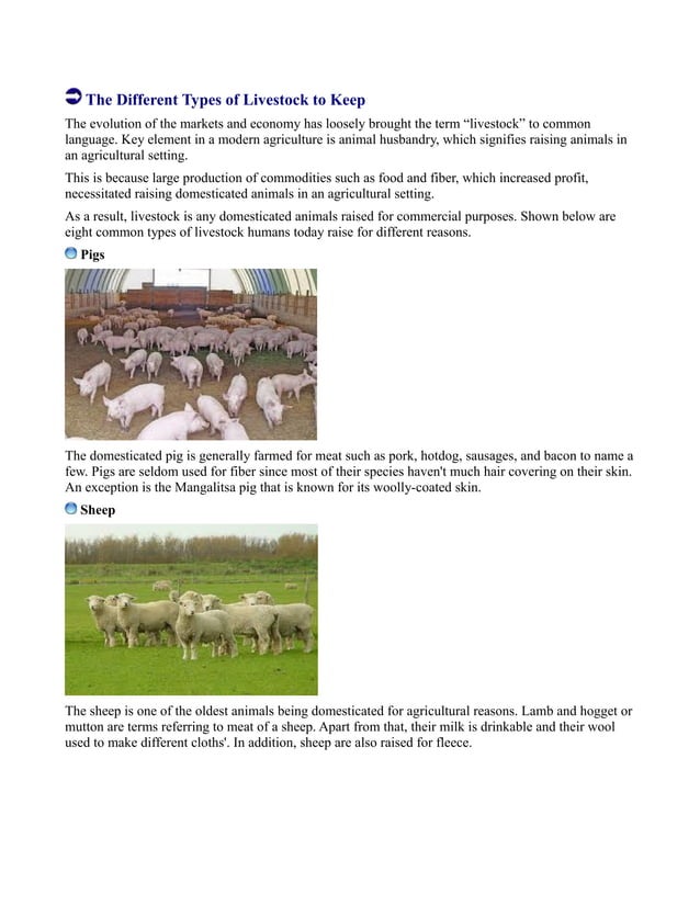 How to raise livestock | PDF