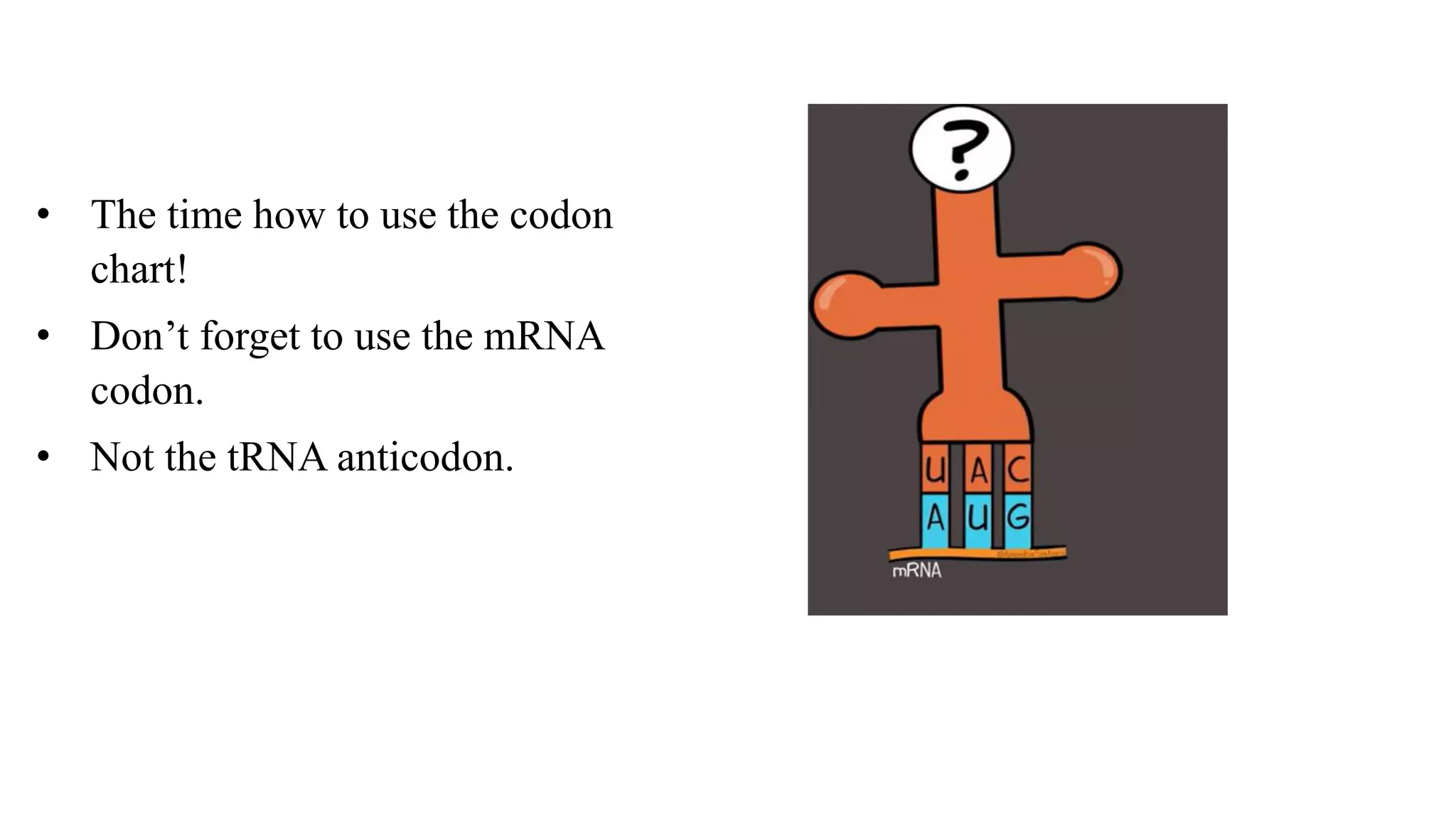 How to read a codons chart | PDF