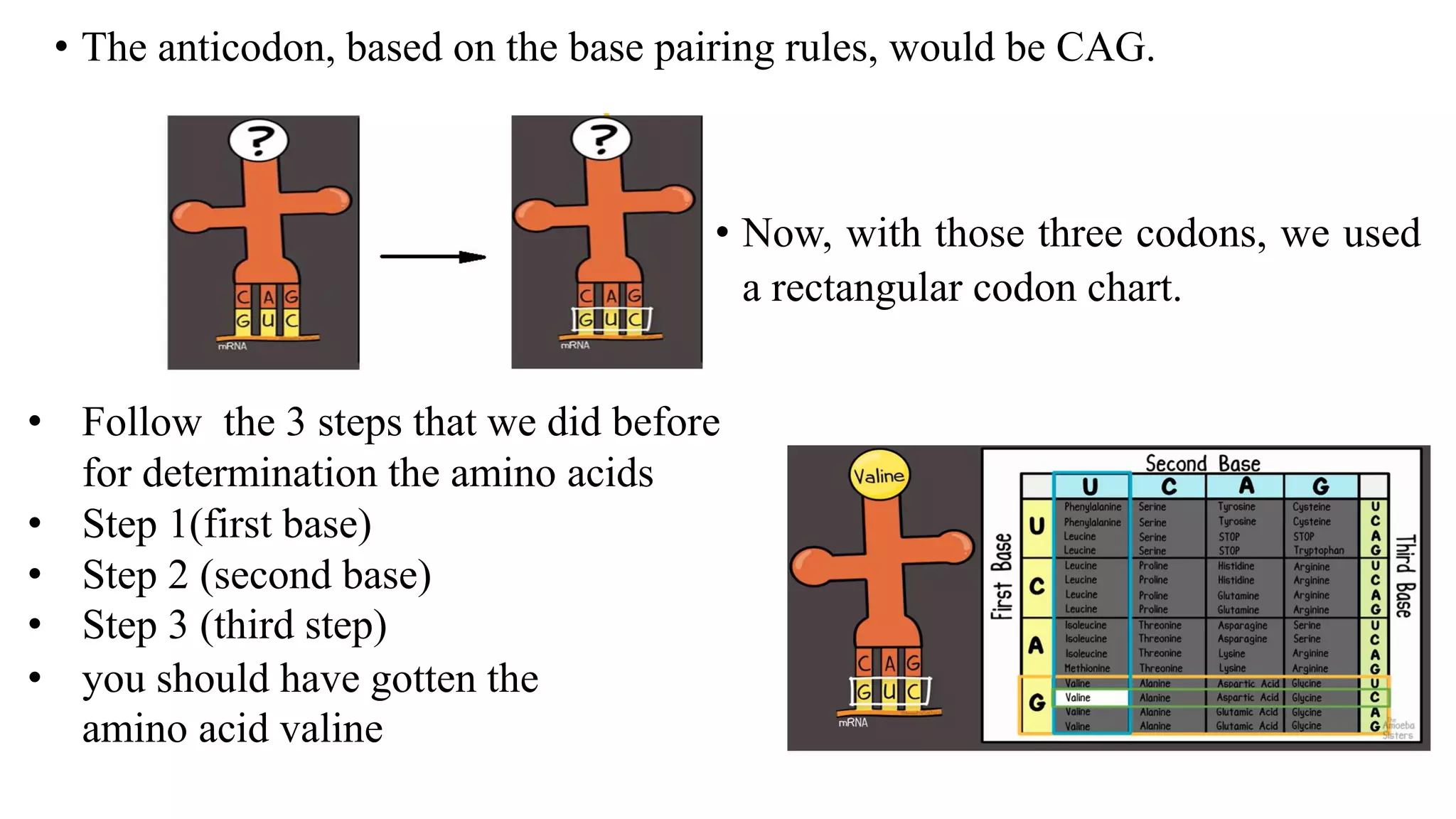 How to read a codons chart | PDF