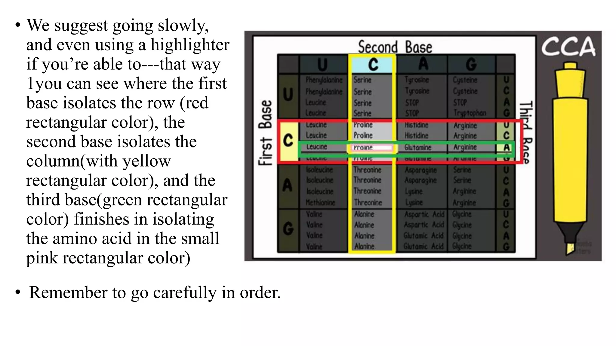 How to read a codons chart | PDF