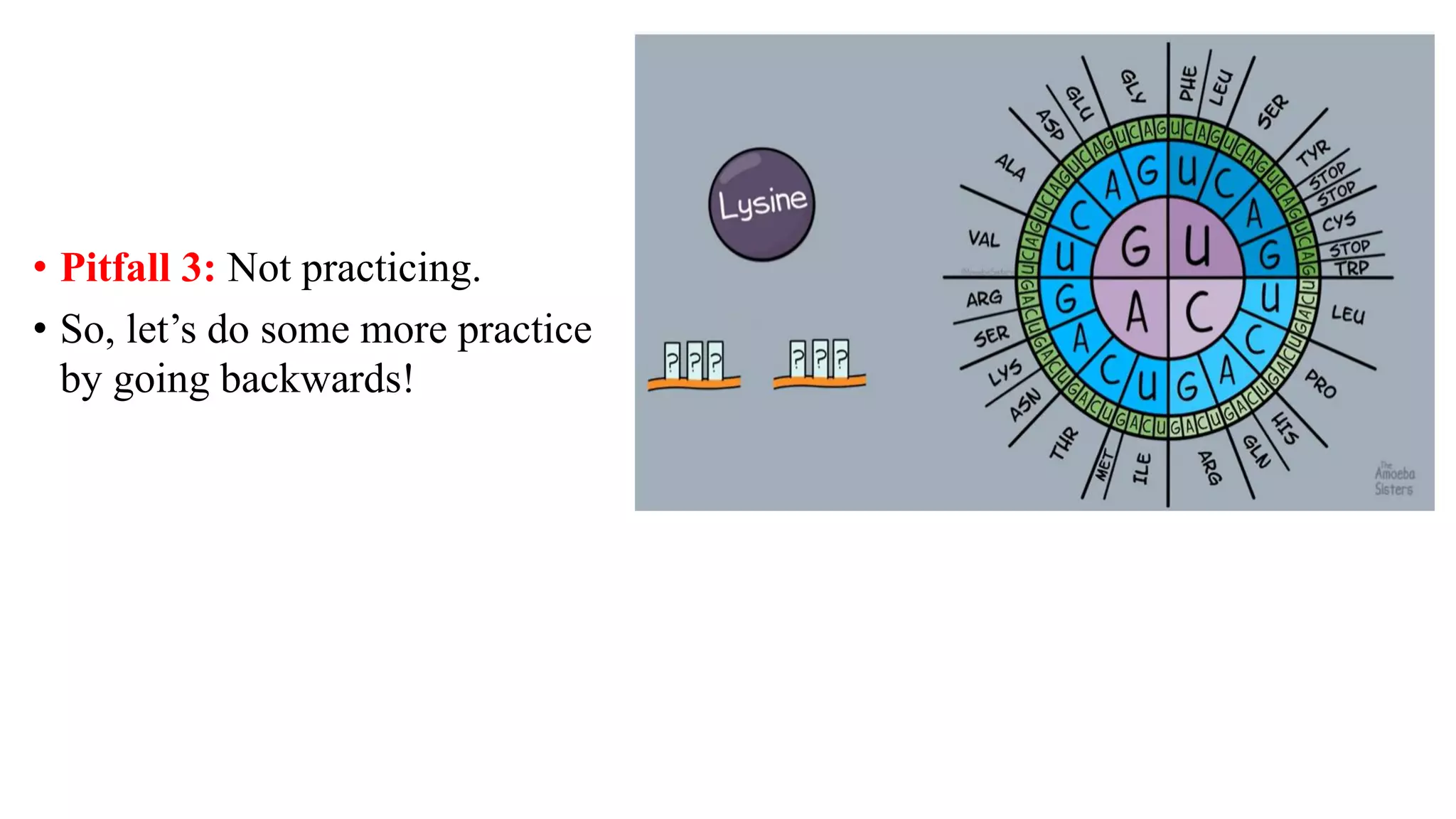 How to read a codons chart | PDF