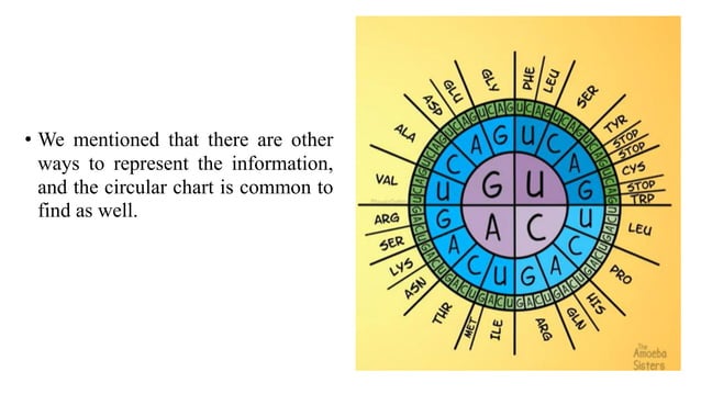 How to read a codons chart | PDF