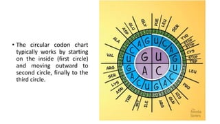 How to read a codons chart | PDF