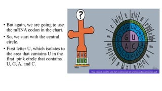 How to read a codons chart | PDF