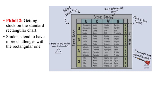 How to read a codons chart | PDF
