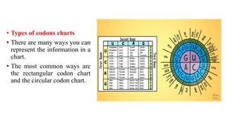 How to read a codons chart | PDF