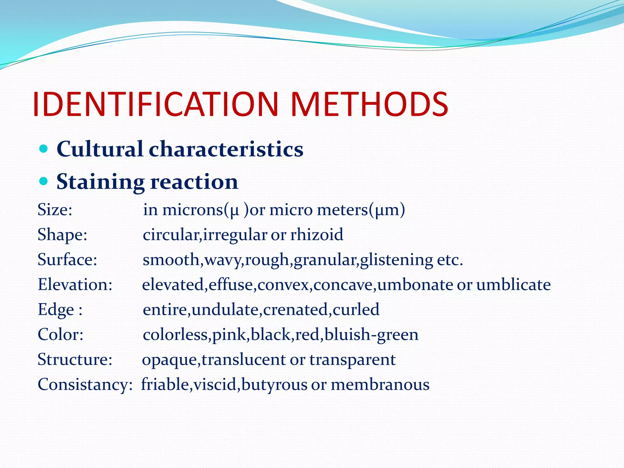 How to read a culture plate | PPTX