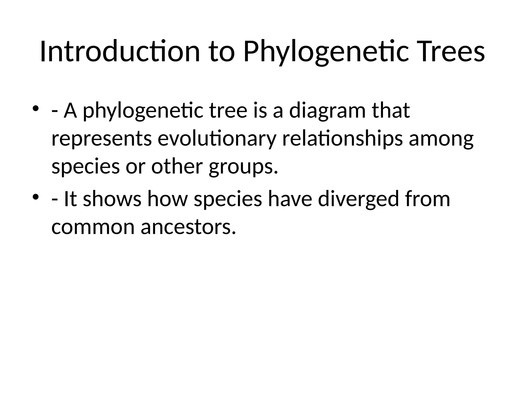 How_to_Read_a_Phylogenetic_Tree (1).pptx