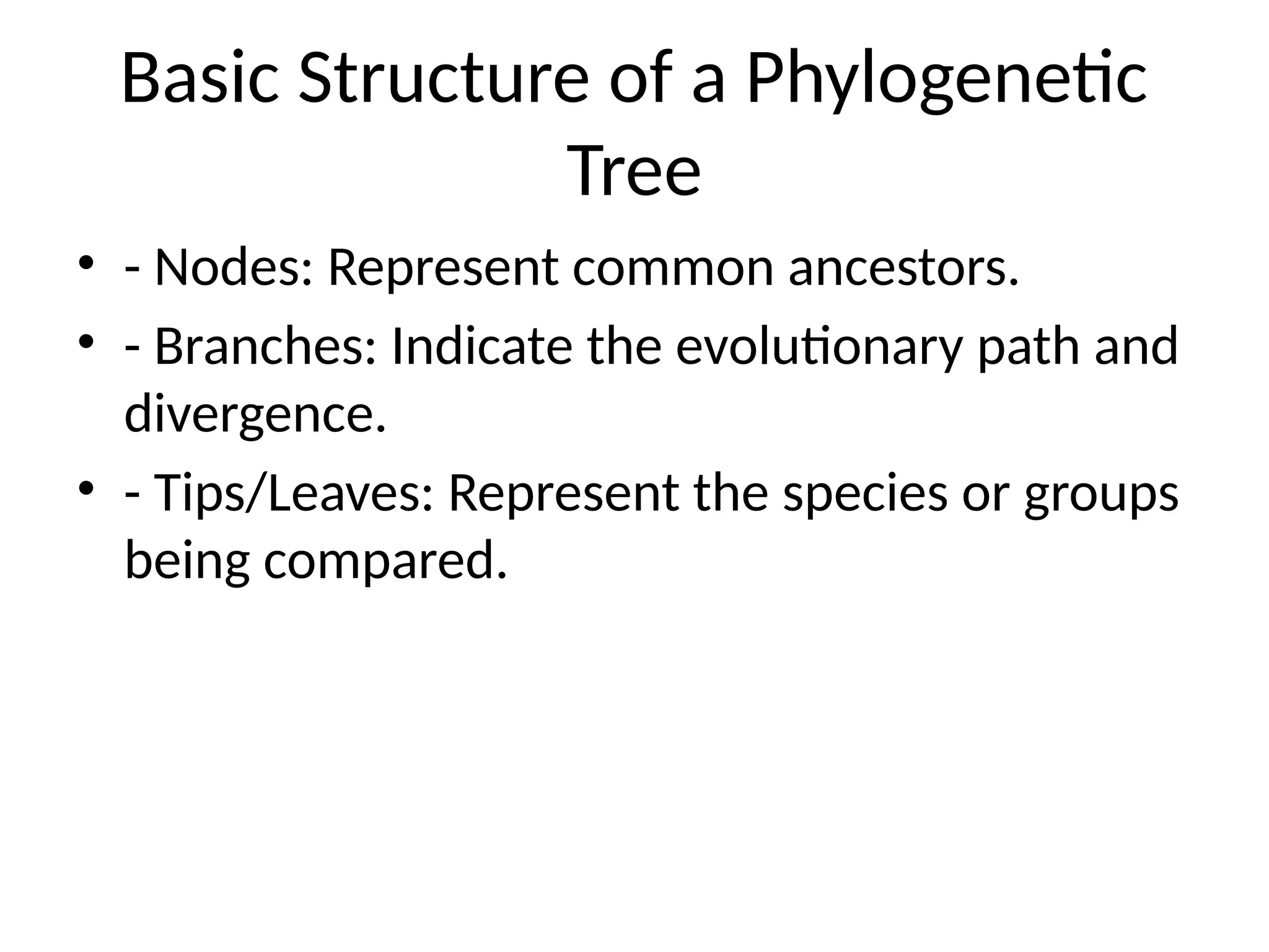 How_to_Read_a_Phylogenetic_Tree (1).pptx