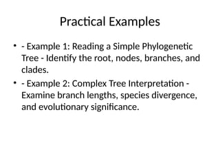 How_to_Read_a_Phylogenetic_Tree (1).pptx