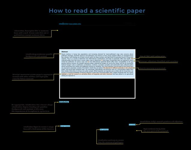 how to read a scientific paper.pdf