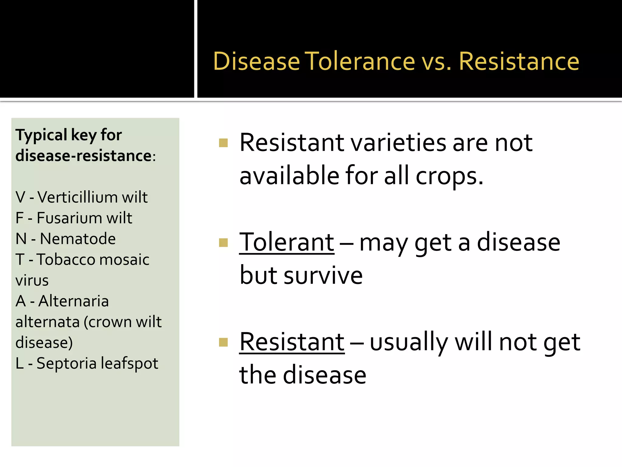 Grow Your Own, Nevada! Spring 2012: What to do with all those seed ...