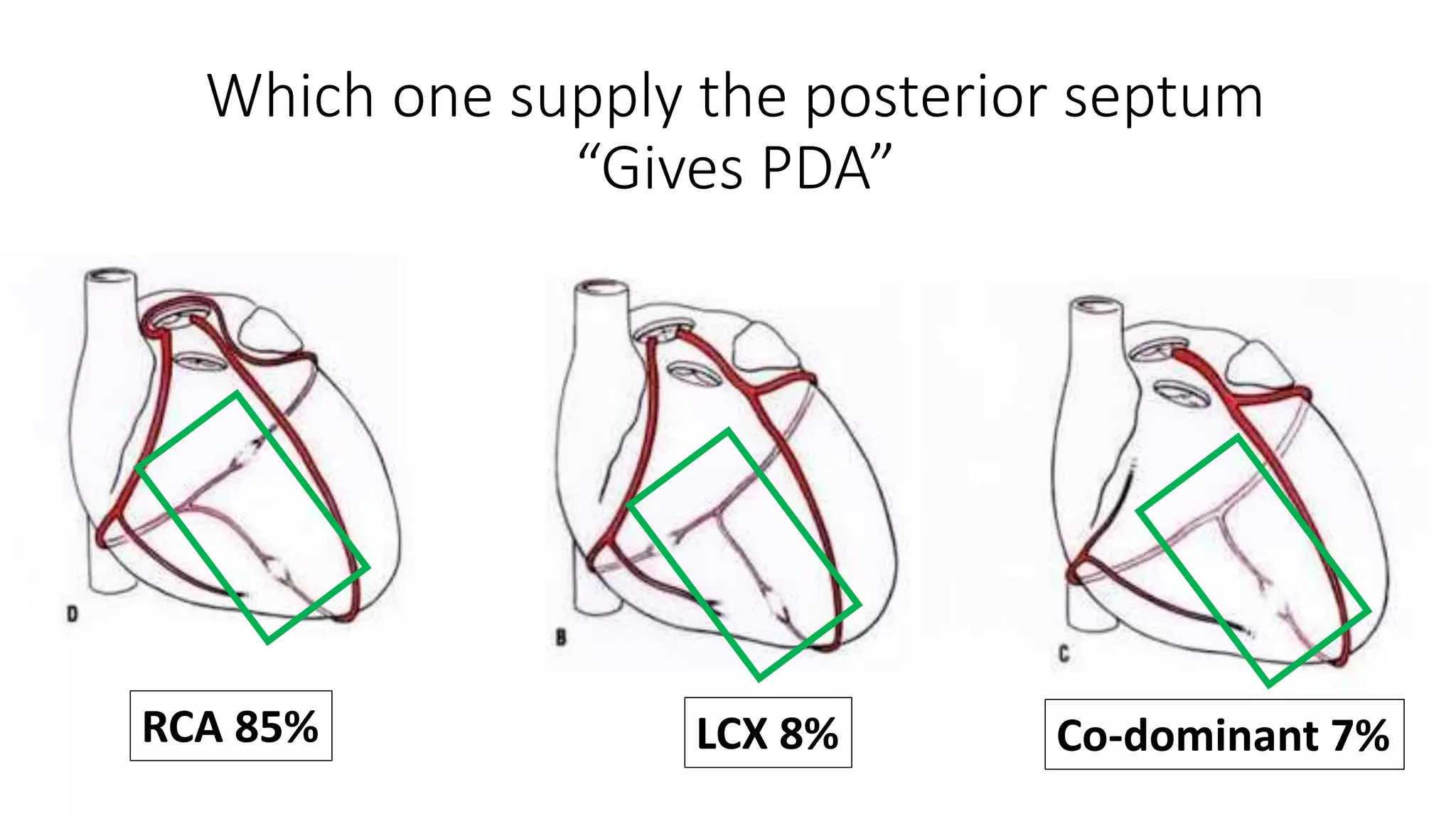How to read coronary angiography | PPTX