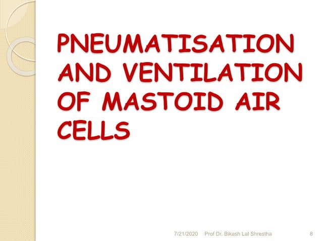 How to read ct scan temporal bone - A dhulikhel hospital, kathmandu ...