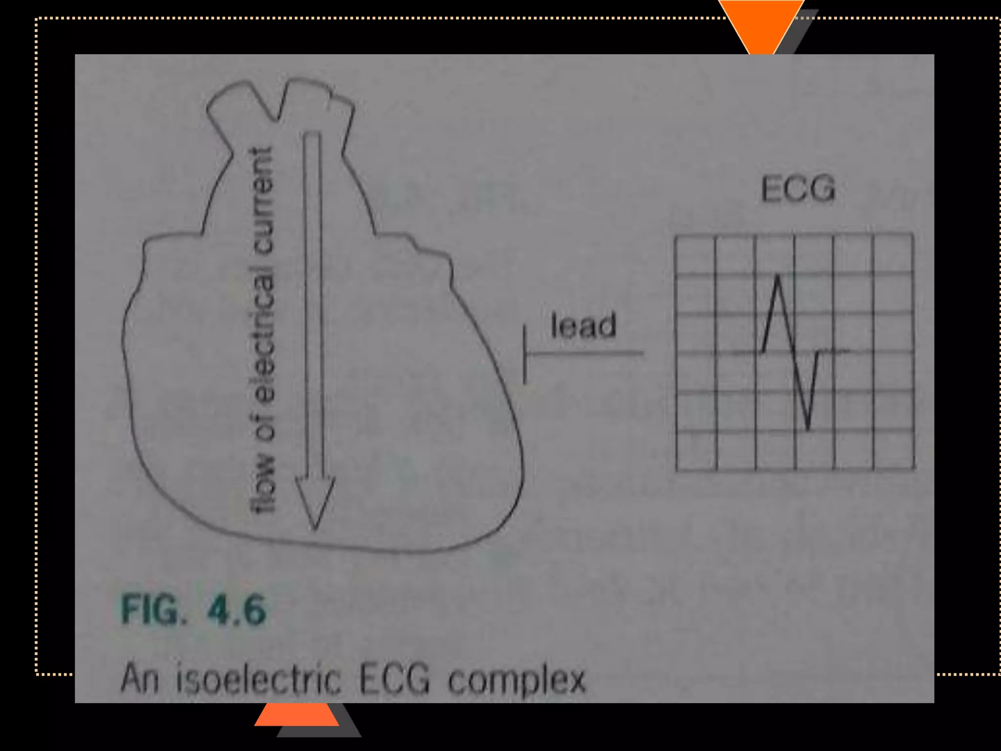How to read ECG | PPSX
