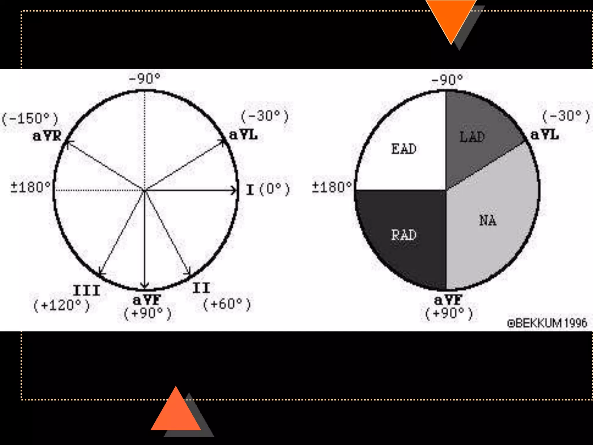 How to read ECG | PPSX