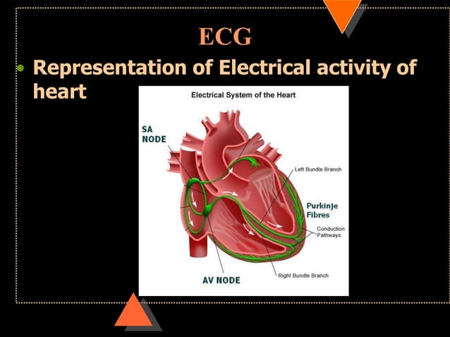How to read ECG | PPSX
