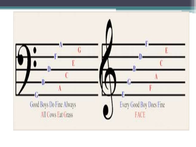 How to read music notes