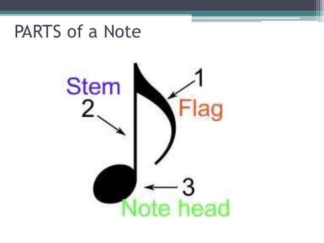 How to read music notes