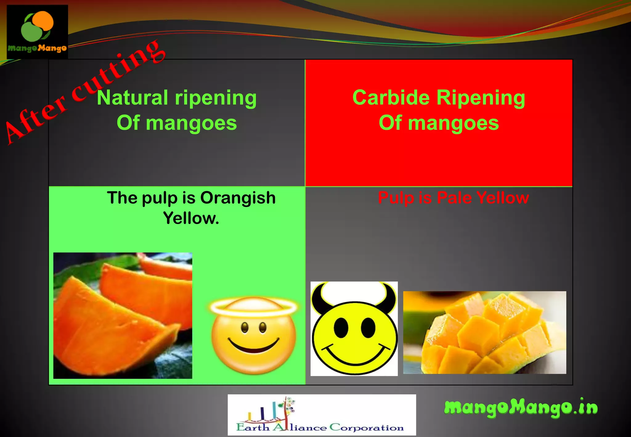 How to recognise carbide ripen mangoes | PDF