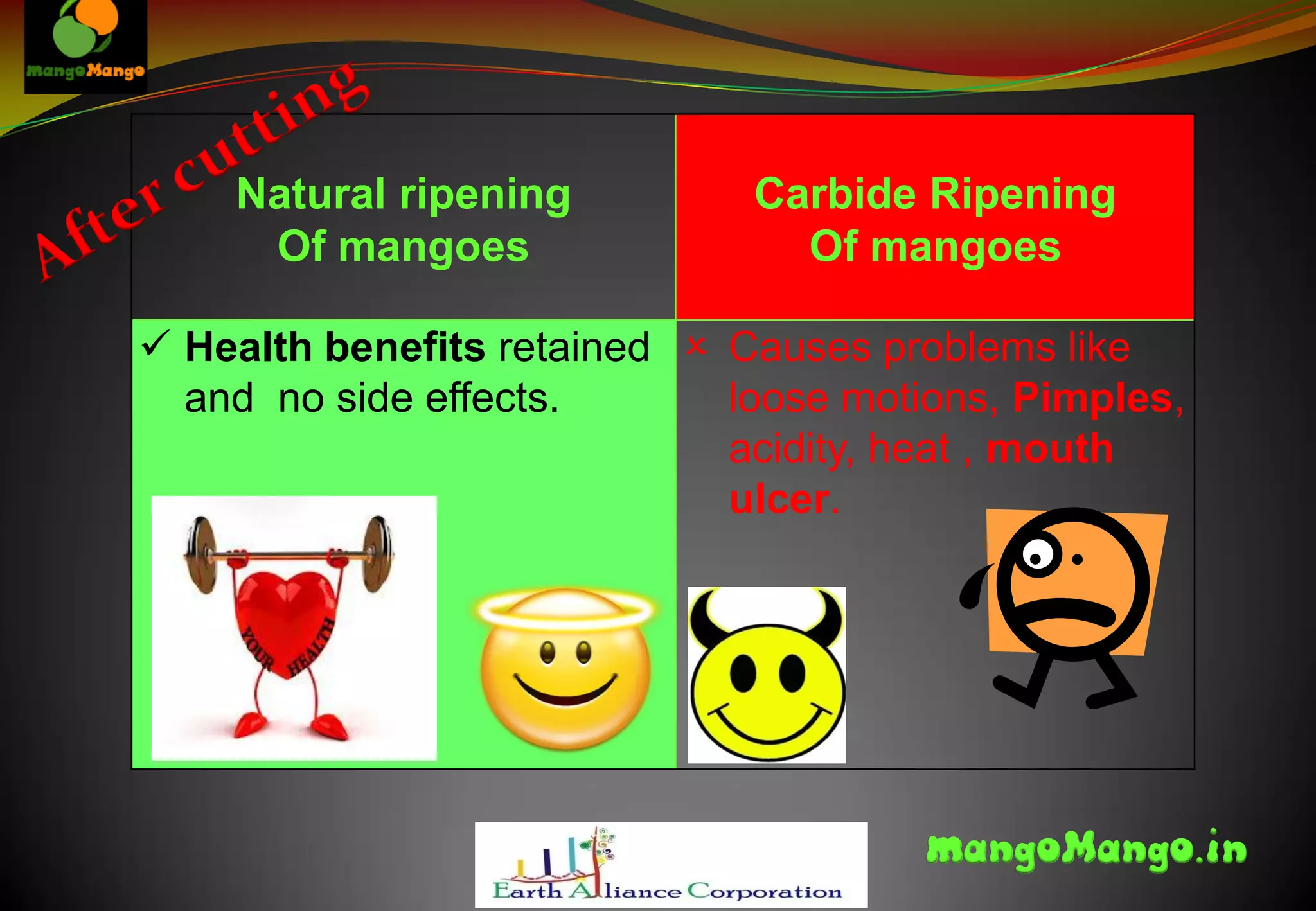 How to recognise carbide ripen mangoes | PDF