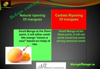 How to recognise carbide ripen mangoes | PDF