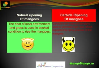 How to recognise carbide ripen mangoes? | PDF